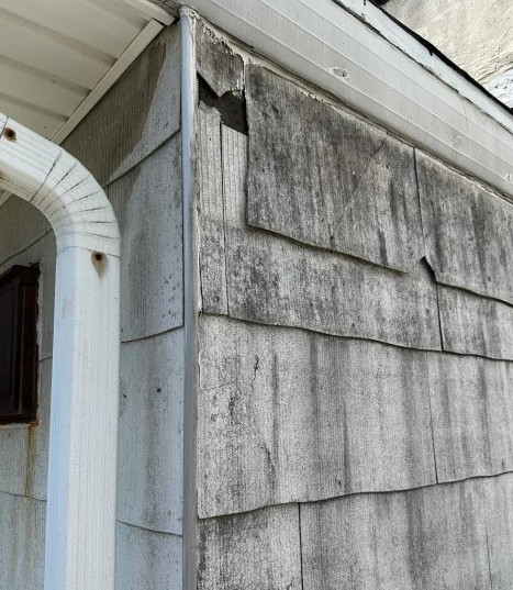 Understanding the EPA asbestos abatement notification form - download here!