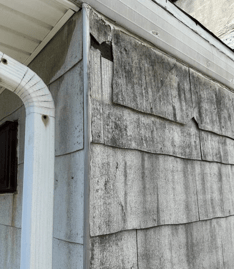 Understanding the EPA asbestos abatement notification form - download here!